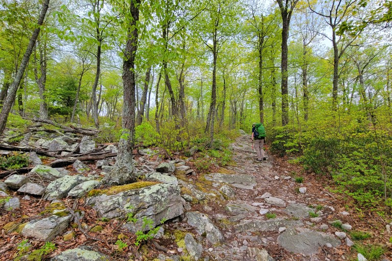 Duncan Knob Backpacking Loop – Virginia Trail Guide