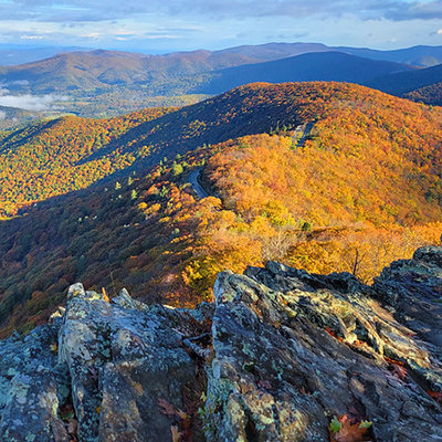 Virginia Trail Guide