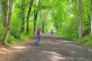 Virginia Creeper – Abingdon to Damascus – Virginia Trail Guide